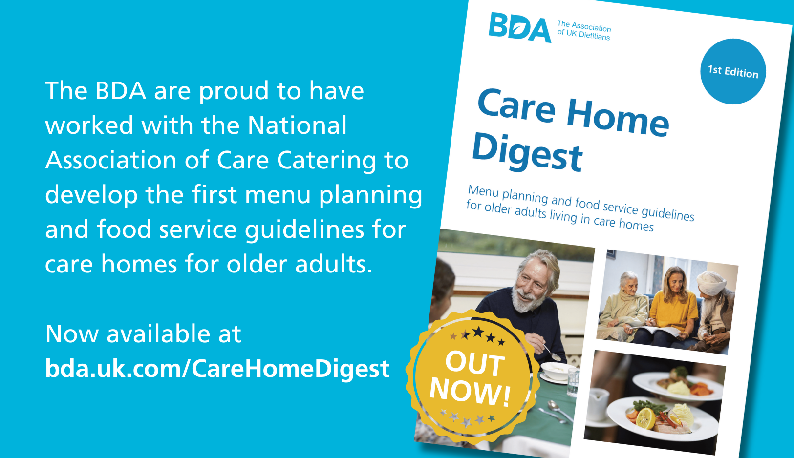 Care Home Digest - BDA