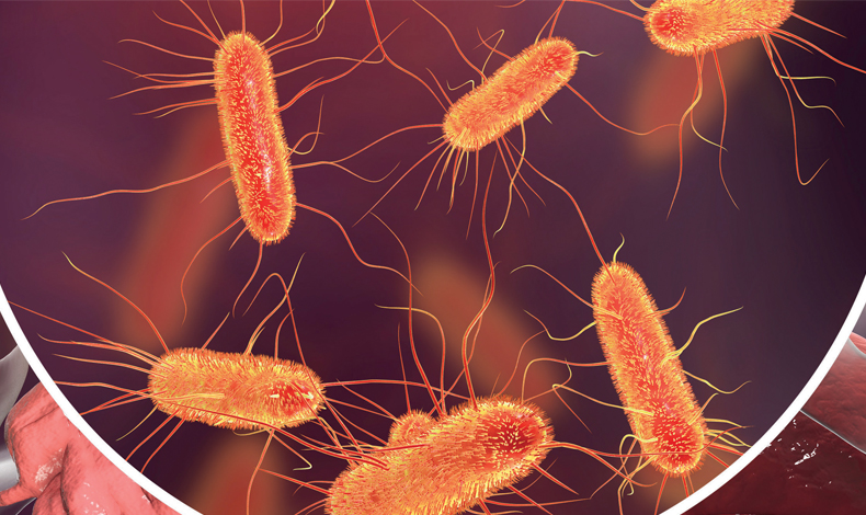 Give your friendly gut bacteria a helping hand - BDA