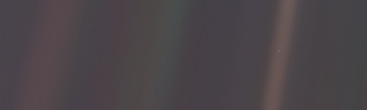 One Blue Dot - the BDA's Environmentally Sustainable Diet Project - BDA