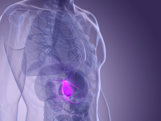 Dietary management of gallstones: future possibilities | British ...